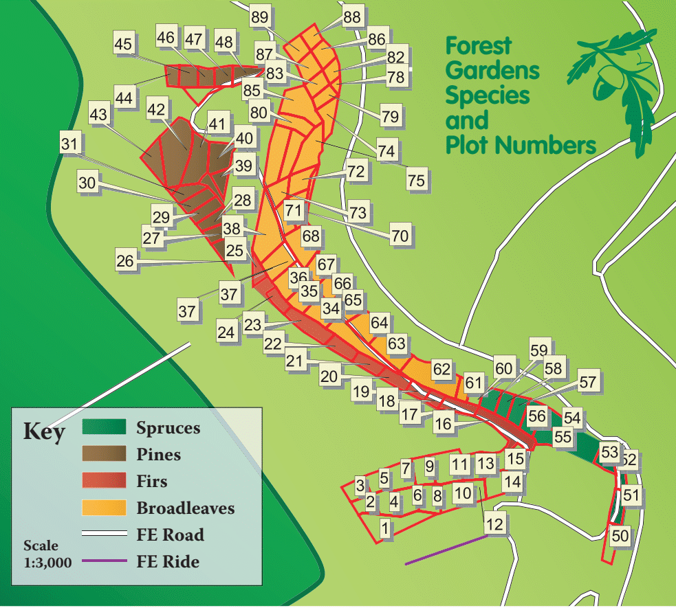 Brechfa Forest Garden. | Roam Brechfa Forest and Llanllwni Mountain